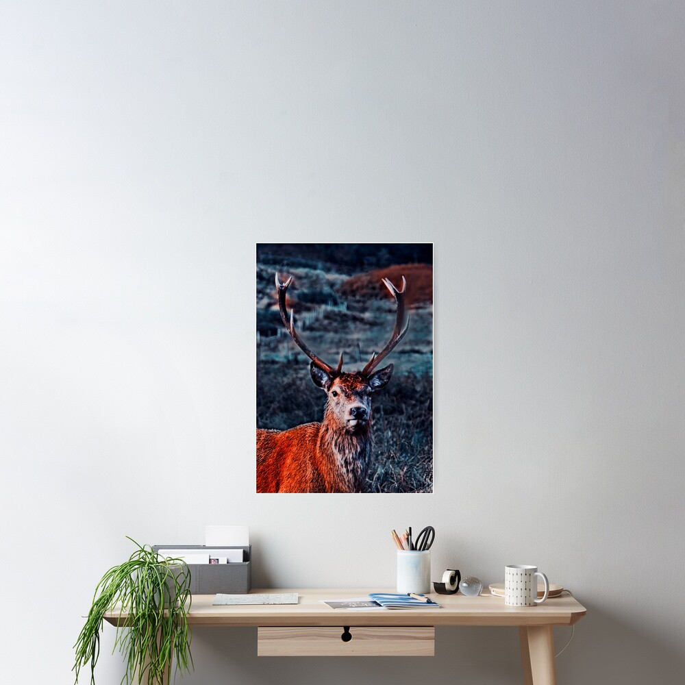 "Scottish Stag" Poster by GillianSweeney | Redbubble