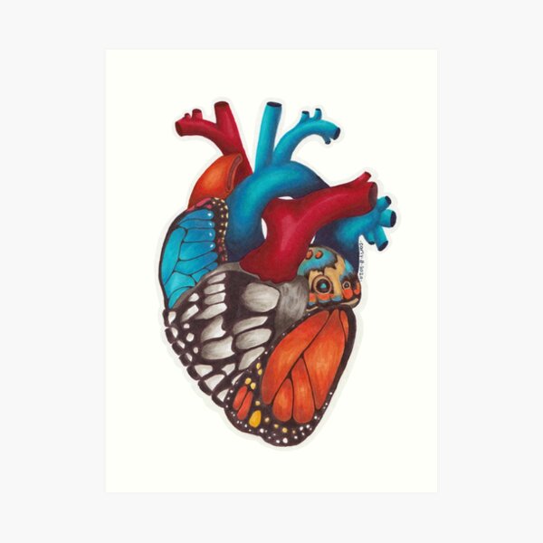 "Butterfly Heart" Art Print for Sale by carlygcreates | Redbubble