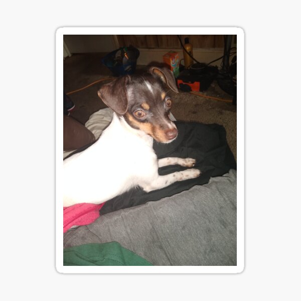 "Princess Nyla" Sticker for Sale by Monet007 | Redbubble