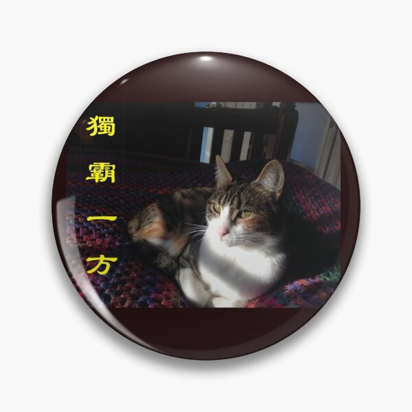 ヤフオク! - Raindrops CD 猫叉Master 形式 CD 5.26.21 - master raindrop 猫