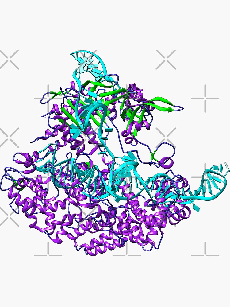 "CRISPR Cas9 Complex 3D Model" Sticker for Sale by MoLecULaR-biO ...