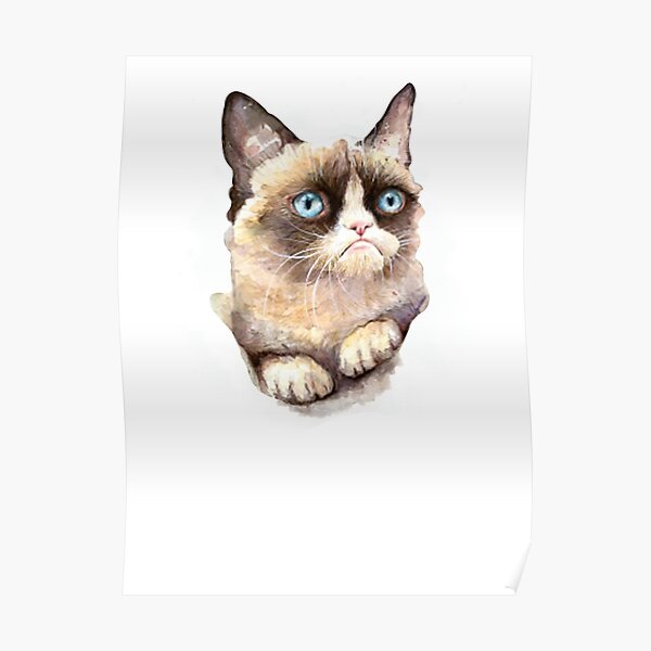 Grumpy Cat Posters | Redbubble