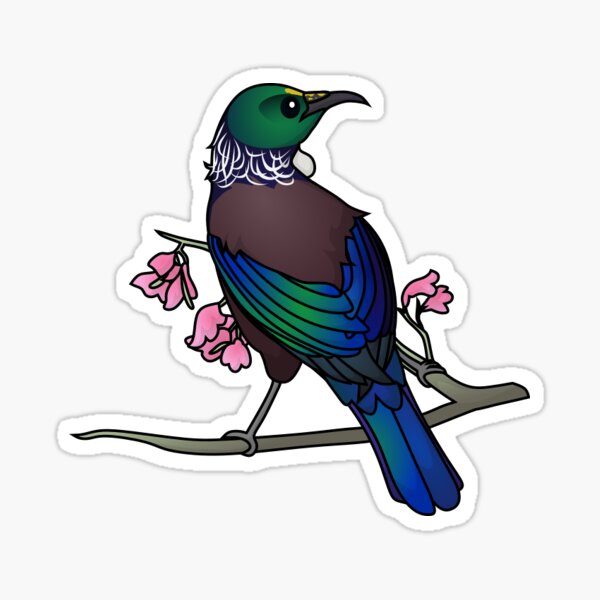"Tui" Sticker by Dannelboyz | Redbubble