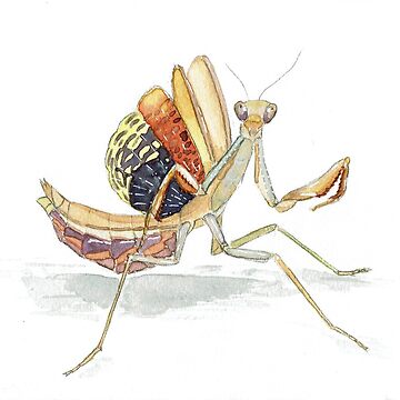 "Mantis" Greeting Card by MartaGranadina | Redbubble