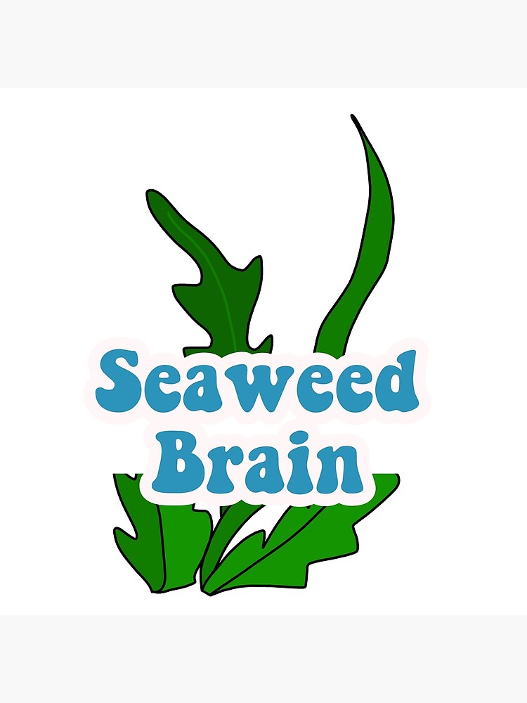 "Percy Jackson Seaweed Brain Spitzname von Annabeth" Poster von ...