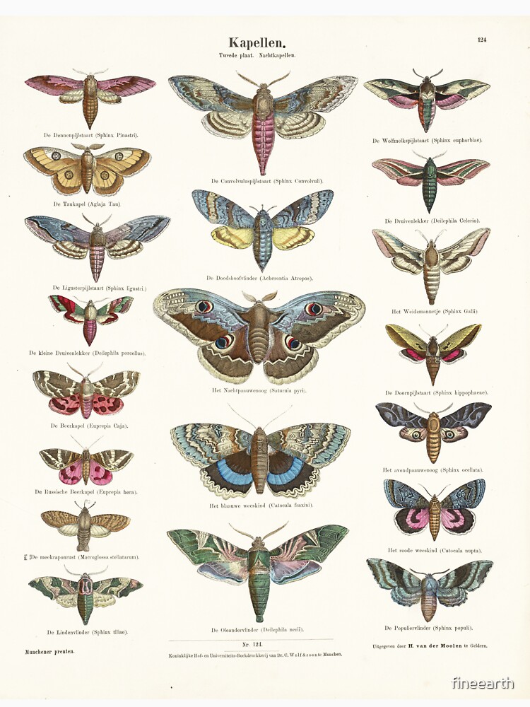 "Vintage Moth Chart" T-shirt for Sale by fineearth | Redbubble ...