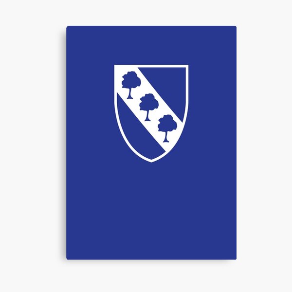 "Rudge Park Comprehensive" Canvas Print by ChrisOrton | Redbubble