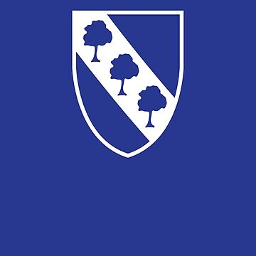 Inbetweeners School Logo