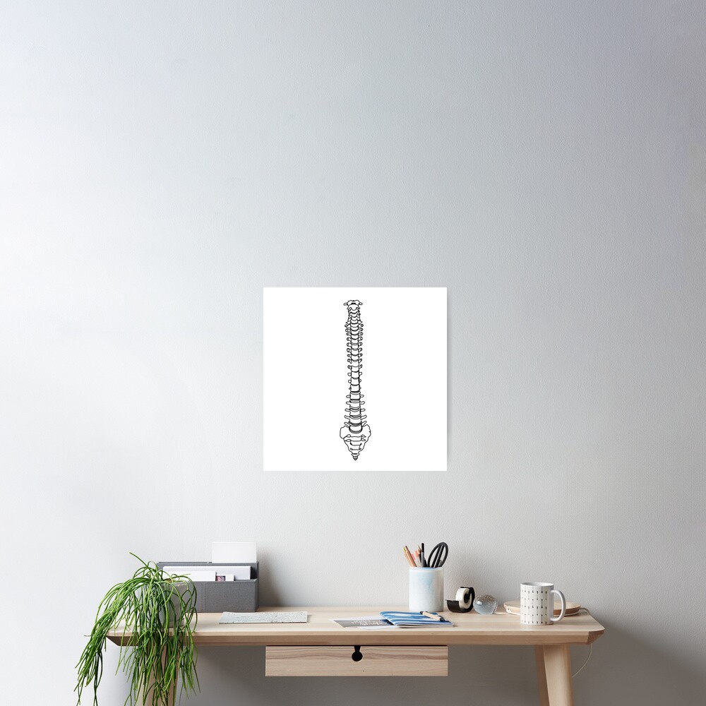 "spine one line drawing. Medical print" Poster for Sale by OneLinePrint ...