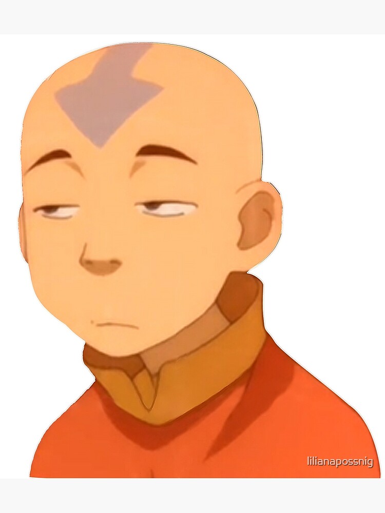"avatar the last airbender aang meme" Poster by lilianapossnig | Redbubble
