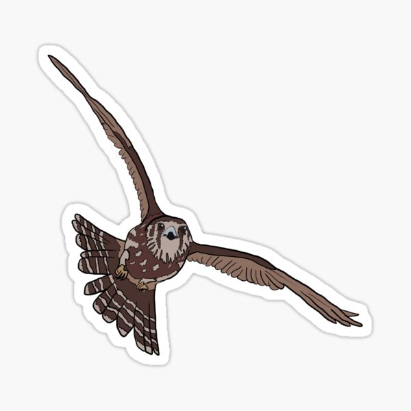 "Xena the Merlin Falcon" Sticker for Sale by Jlouieasy | Redbubble