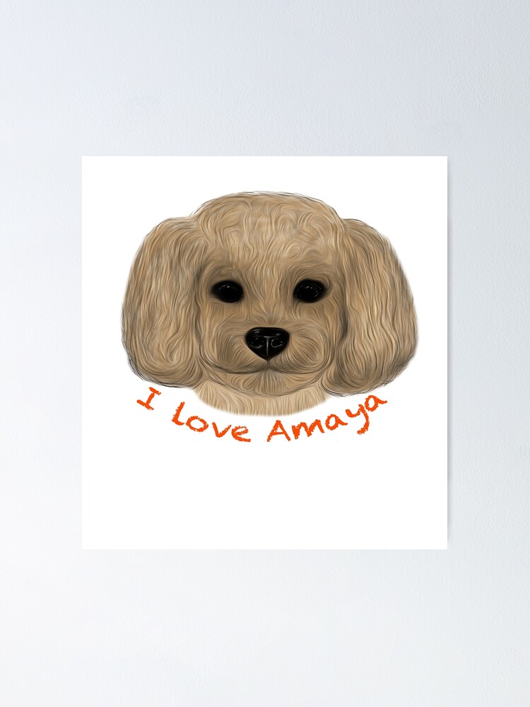 "I love my Amaya & Cavapoochon" Poster for Sale by AllMandala | Redbubble