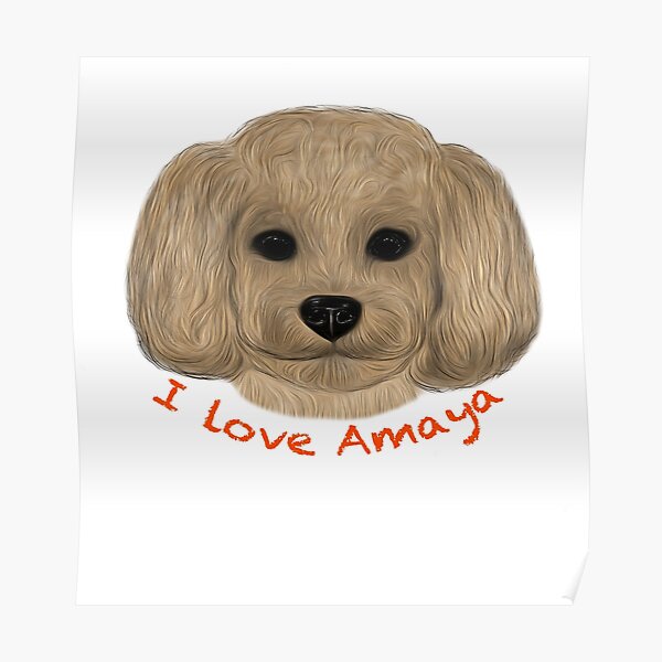 "I love my Amaya & Cavapoochon" Poster for Sale by AllMandala | Redbubble