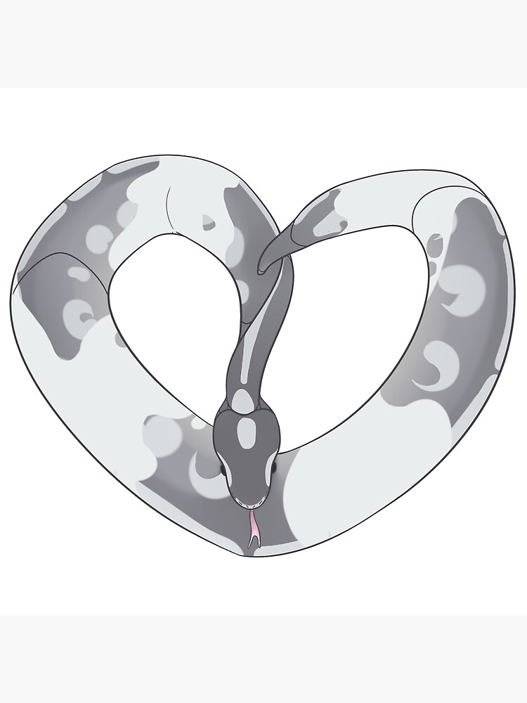 "Ball Python Heart (Pied)" Canvas Print by Sumire76 | Redbubble