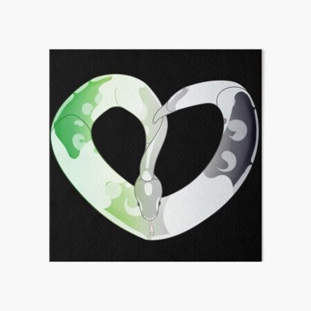 "Ball Python Heart (Aro Pied)" Art Board Print by Sumire76 | Redbubble