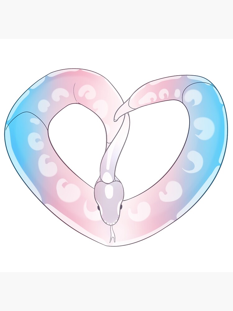 "Ball Python Heart (Trans Mystic)" Canvas Print by Sumire76 | Redbubble