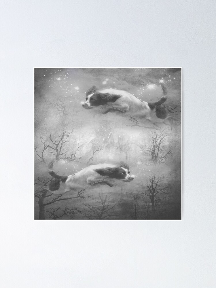 ""Springer"" Poster for Sale by peaky40 | Redbubble