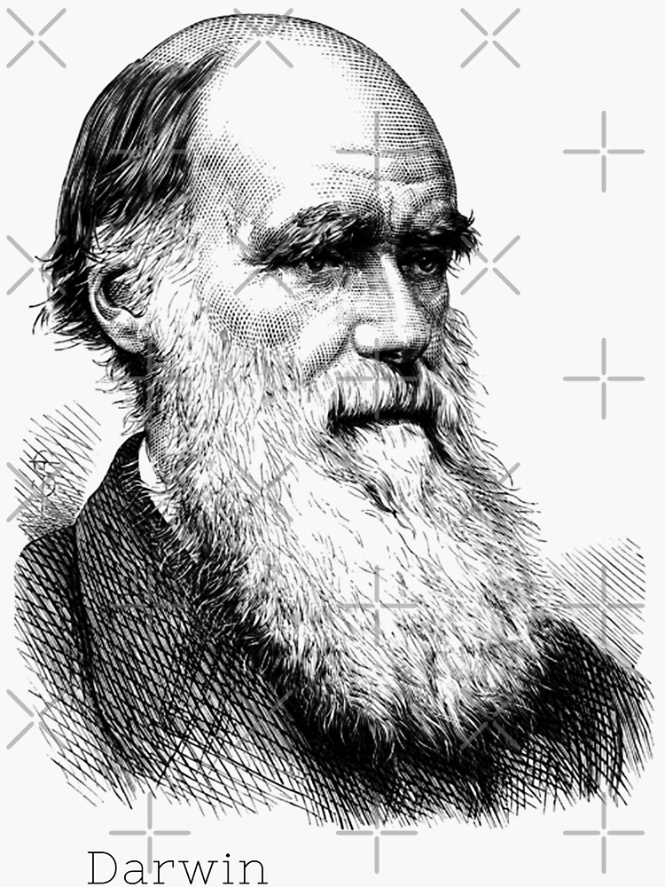 "Darwin" Sticker by Jamiecsmith1986 | Redbubble