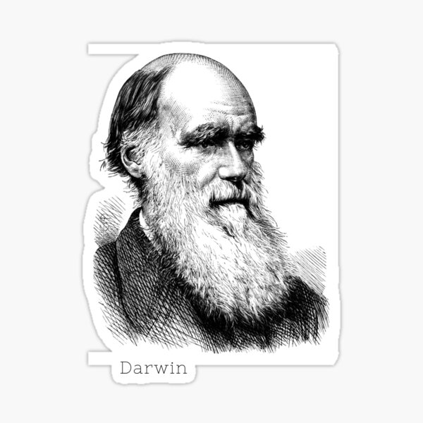 "Darwin" Sticker by Jamiecsmith1986 | Redbubble