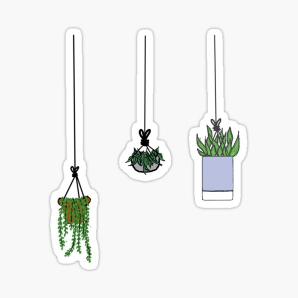 "Hanging plants sticker pack " Sticker for Sale by Mazza11 | Redbubble