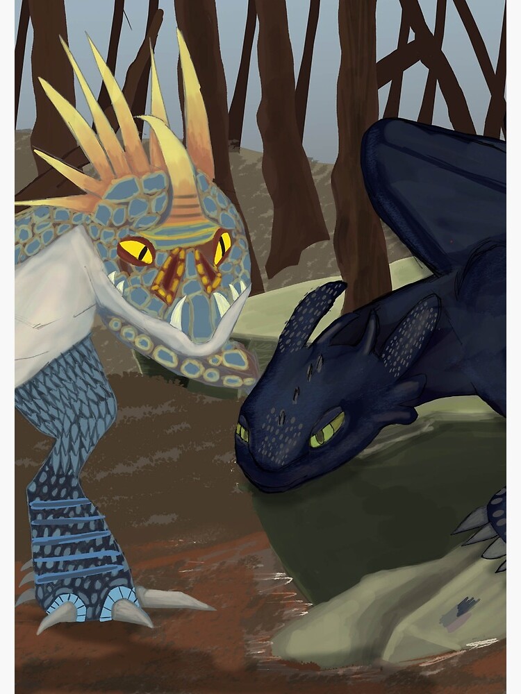"How To Train Your Dragon: Toothless and Stormfly In the Woods" Spiral ...