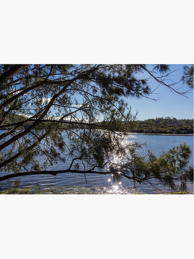"Lakeside Manly Dam" Art Board Print for Sale by Michael Cherne | Redbubble