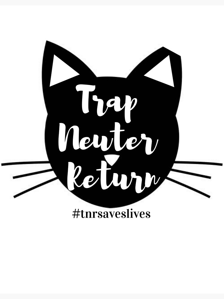 "TNR Saves Lives!" Sticker for Sale by bataviatees | Redbubble