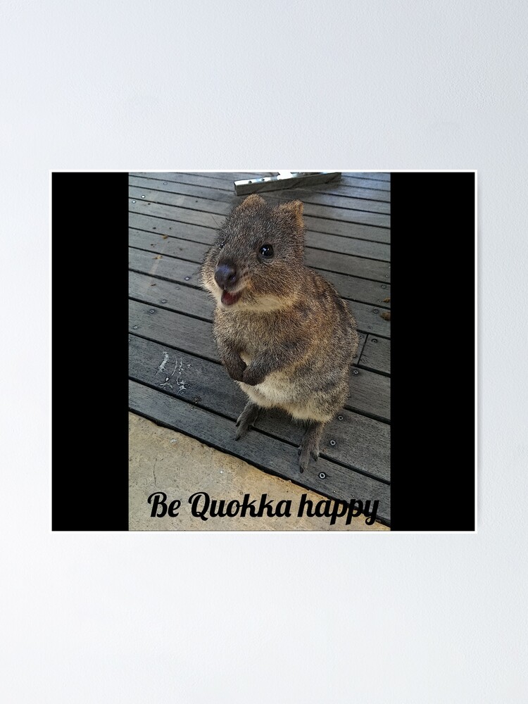 "Be Quokka happy" Poster by sword-snobby | Redbubble