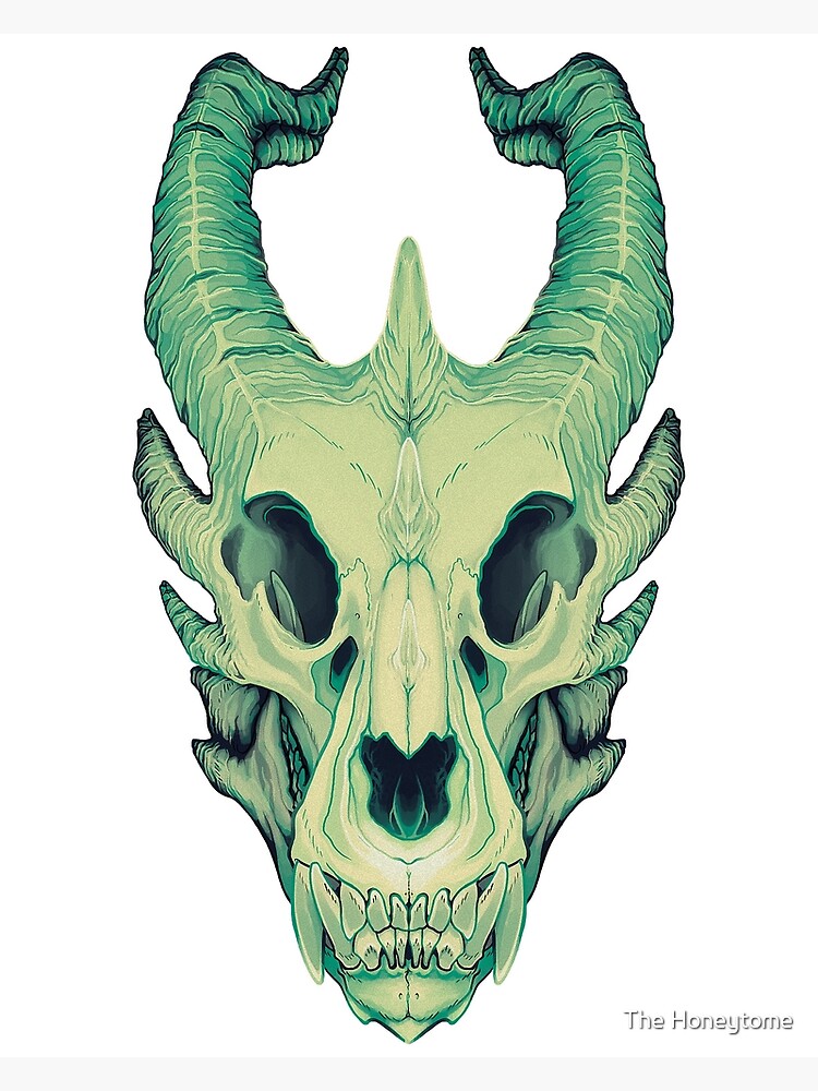 "Dragon Skull" Photographic Print for Sale by fafnyr | Redbubble