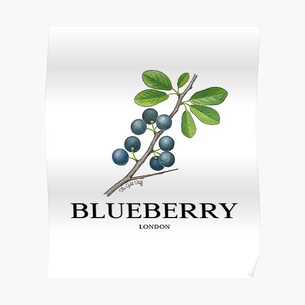 Blueberry Puns Posters | Redbubble