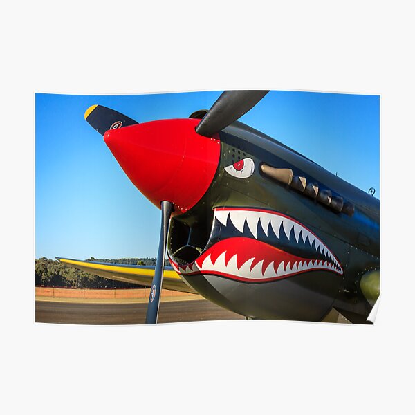 "Smile! P-40" Poster for Sale by MC-Photo | Redbubble