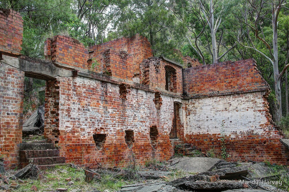 "Historical Newnes" by Mandy Harvey | Redbubble