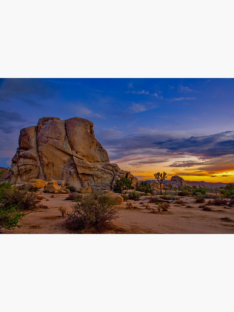 "Joshua Tree Sunset" Framed Art Print for Sale by photosbyflood | Redbubble