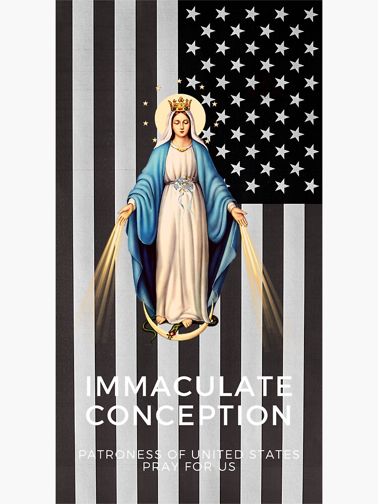 "Mary Immaculate Conception patroness of united states pray for us ...