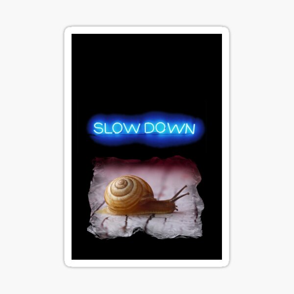 "Slow Down!!!" Sticker for Sale by CathalDevlin | Redbubble