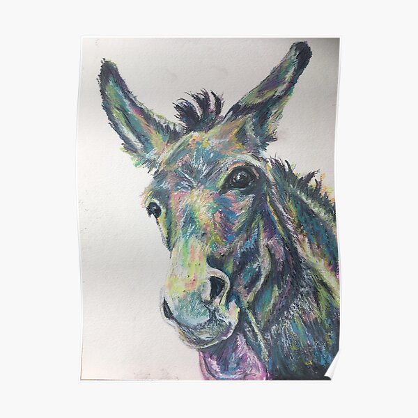 "Cheeky scruffy colourful donkey" Poster for Sale by Merlinsmates ...