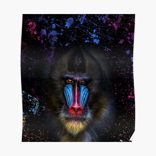 "Mandrill " Poster by johnnyssandart | Redbubble