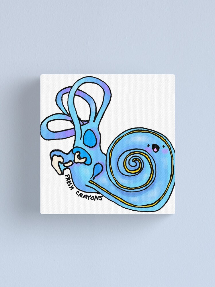 "Cochlea Inner Ear Hearing Anatomy Cartoon " Canvas Print by ...