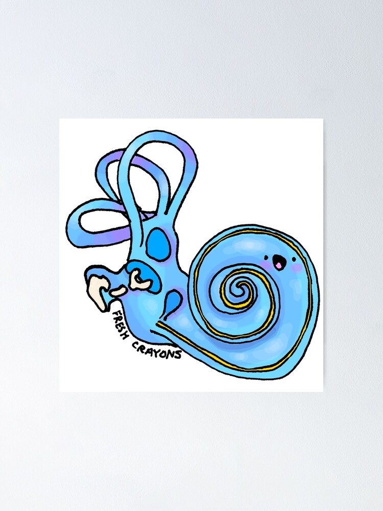Póster «Cóclea Oído Interno Audiencia Anatomía De Dibujos Animados» de ...