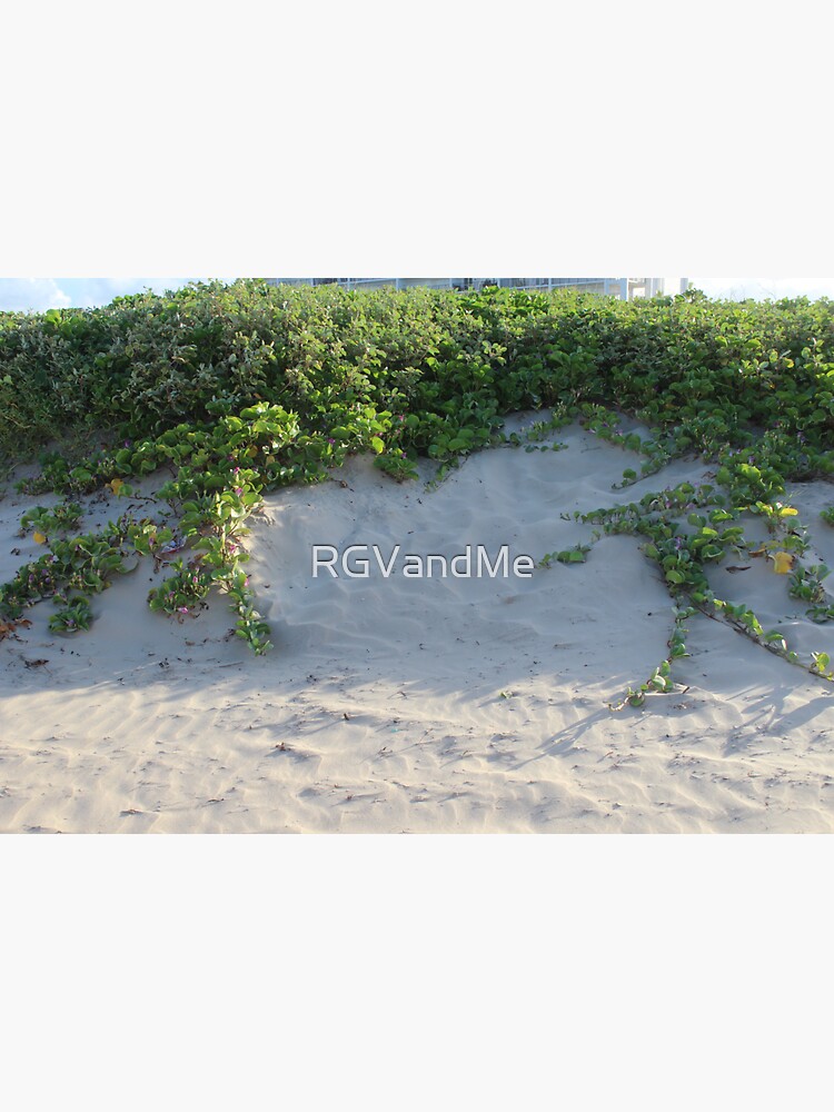 "South Padre Island Beach 04" Sticker for Sale by RGVandMe | Redbubble