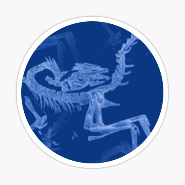 "Dinosaur Fossil Blue Cyanotype" Sticker by raizepeace | Redbubble