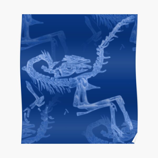 "Dinosaur Fossil Blue Cyanotype" Poster by raizepeace | Redbubble