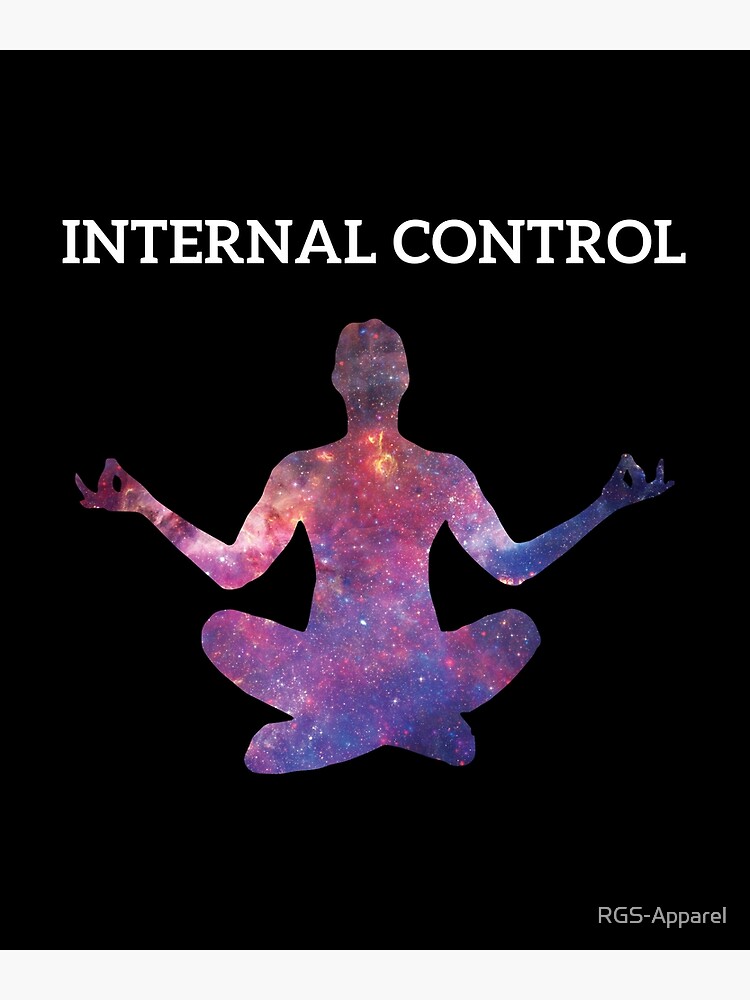 "Internal Control - Accountant Apparel" Poster for Sale by RGS-Apparel ...