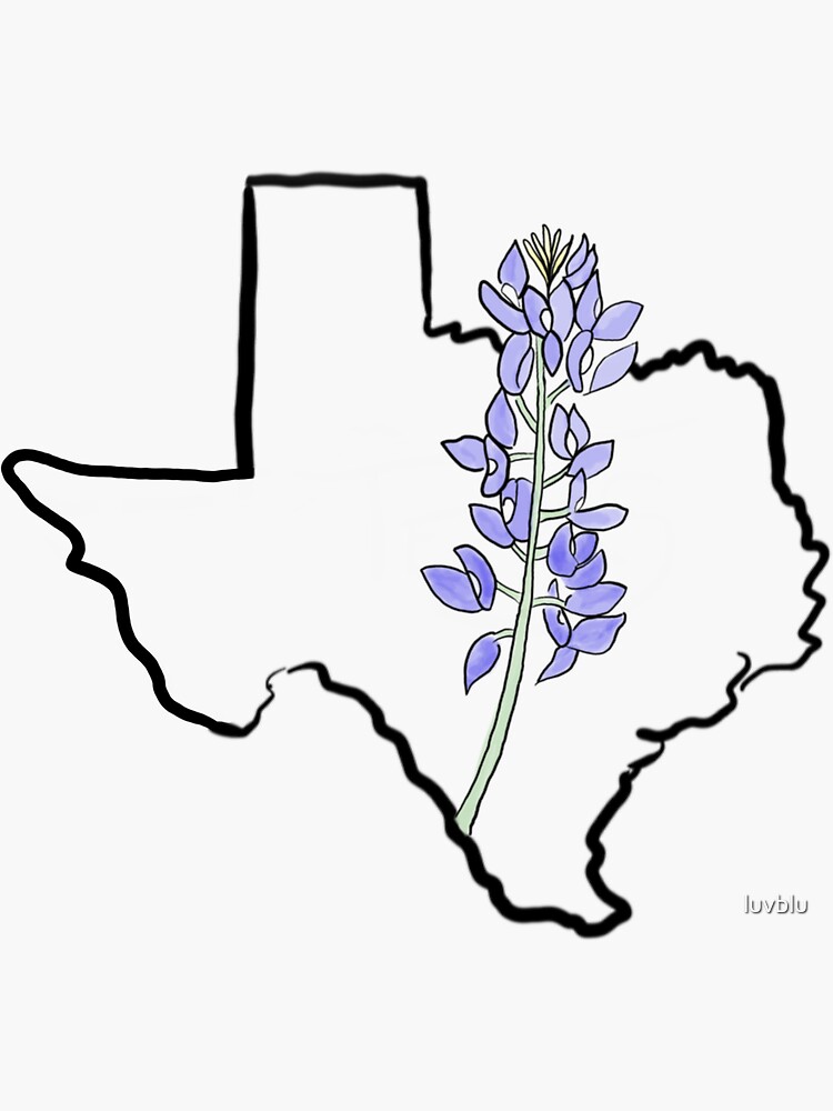 "Texas Bluebonnet 2" Sticker for Sale by luvblu | Redbubble