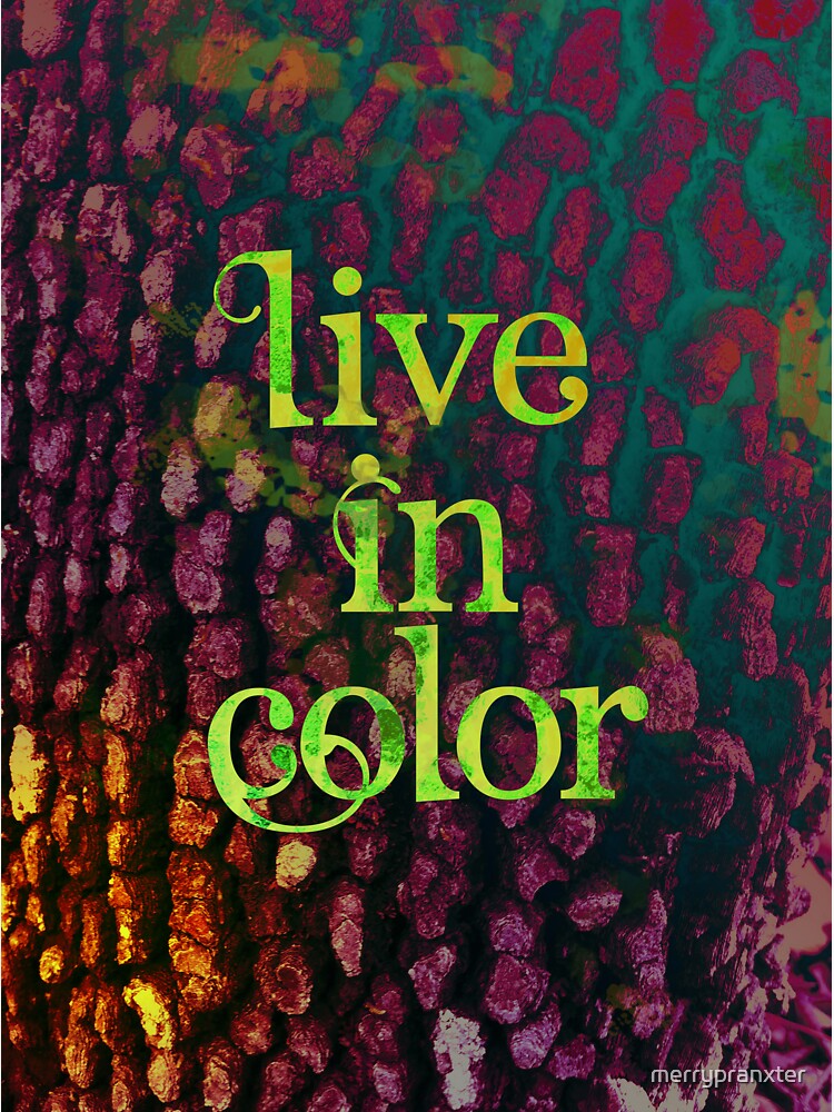 "Live In Color" Sticker for Sale by merrypranxter | Redbubble