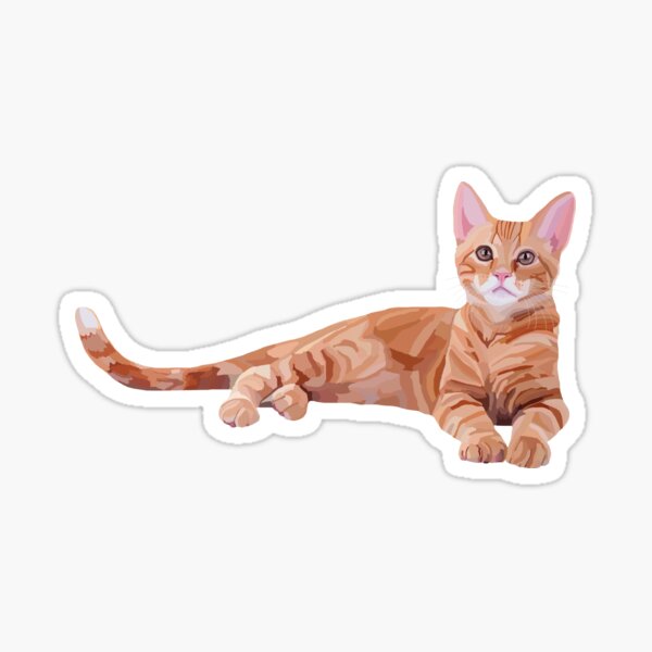 "Cute Ginger Kitten " Sticker for Sale by DeborahCamp | Redbubble