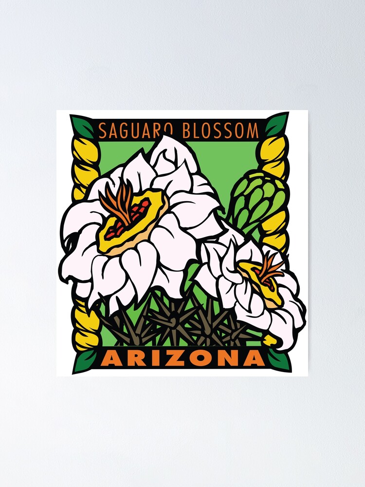 "Arizona State flower Saguaro Blosom" Poster by CosteO | Redbubble