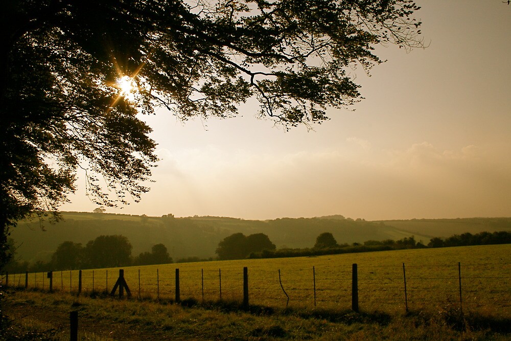 "Dusk in the English Countryside" by lanesloo | Redbubble