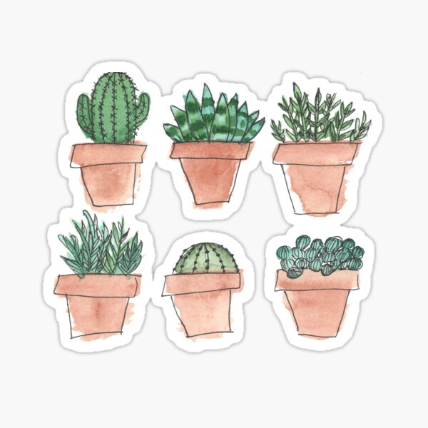 "Watercolor Cacti" Sticker by ava113004 | Redbubble