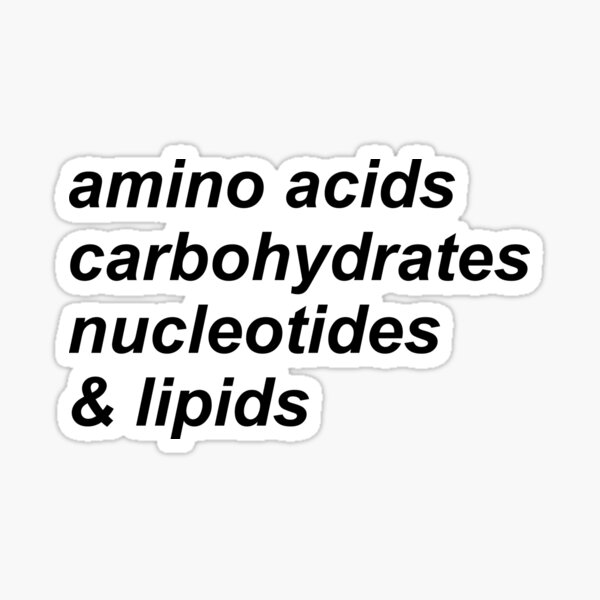 "Four Biomolecules of Life" Sticker by heidieliza | Redbubble